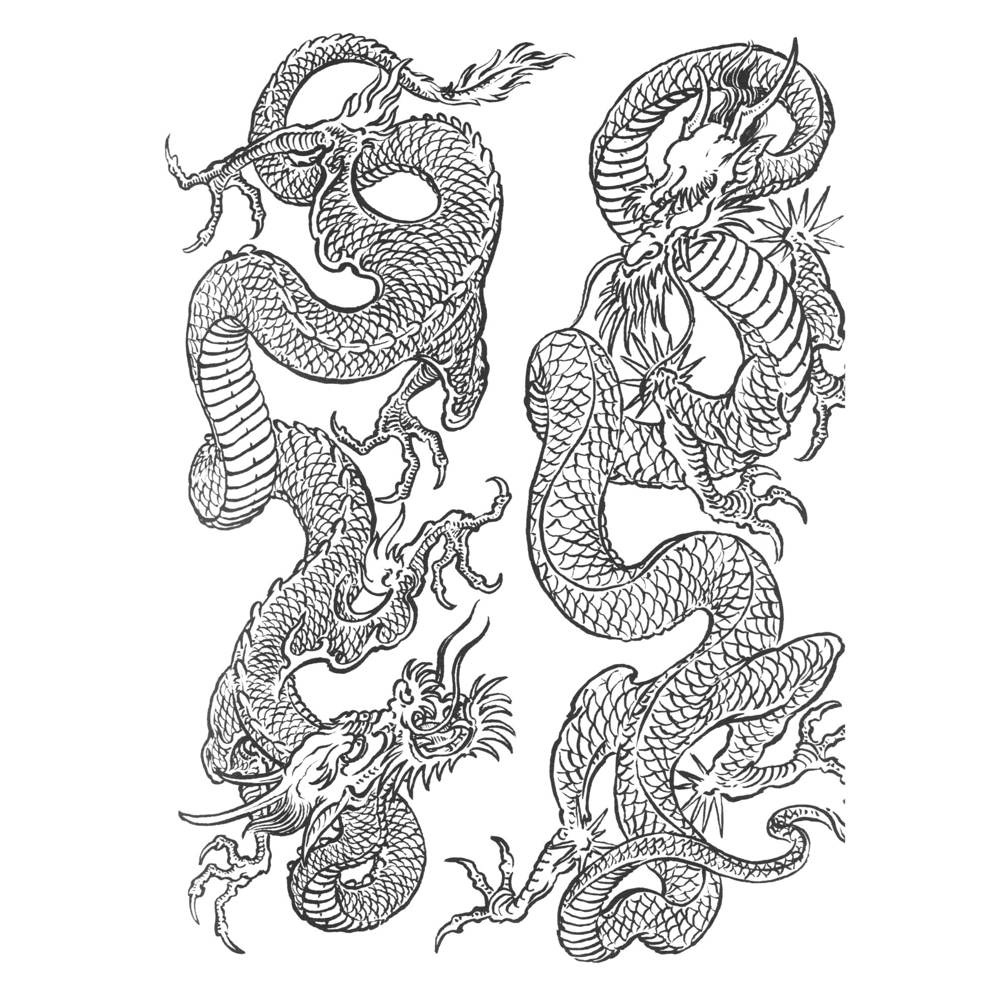 200 Traditional Oriental Dragon Tattoo Designs Hand-drawn PNG Files for ...