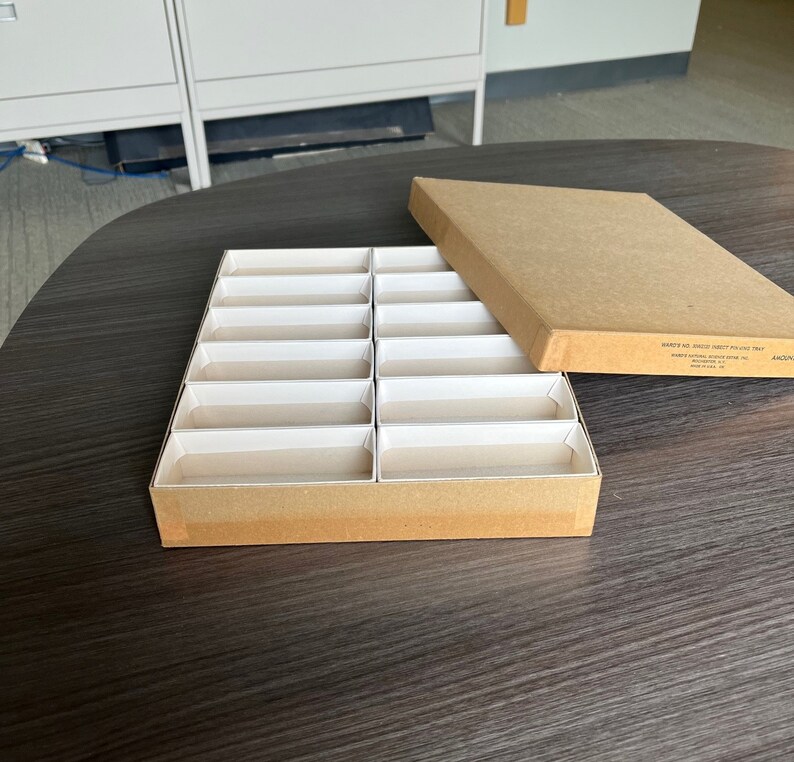 Small Insect Pinning Trays Case of 12 - Etsy