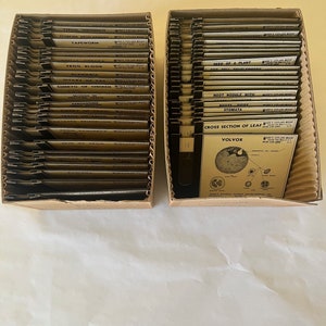 Set of 50 Vintage Biology Microscope Slides - Wards Expalno-mount - in ...