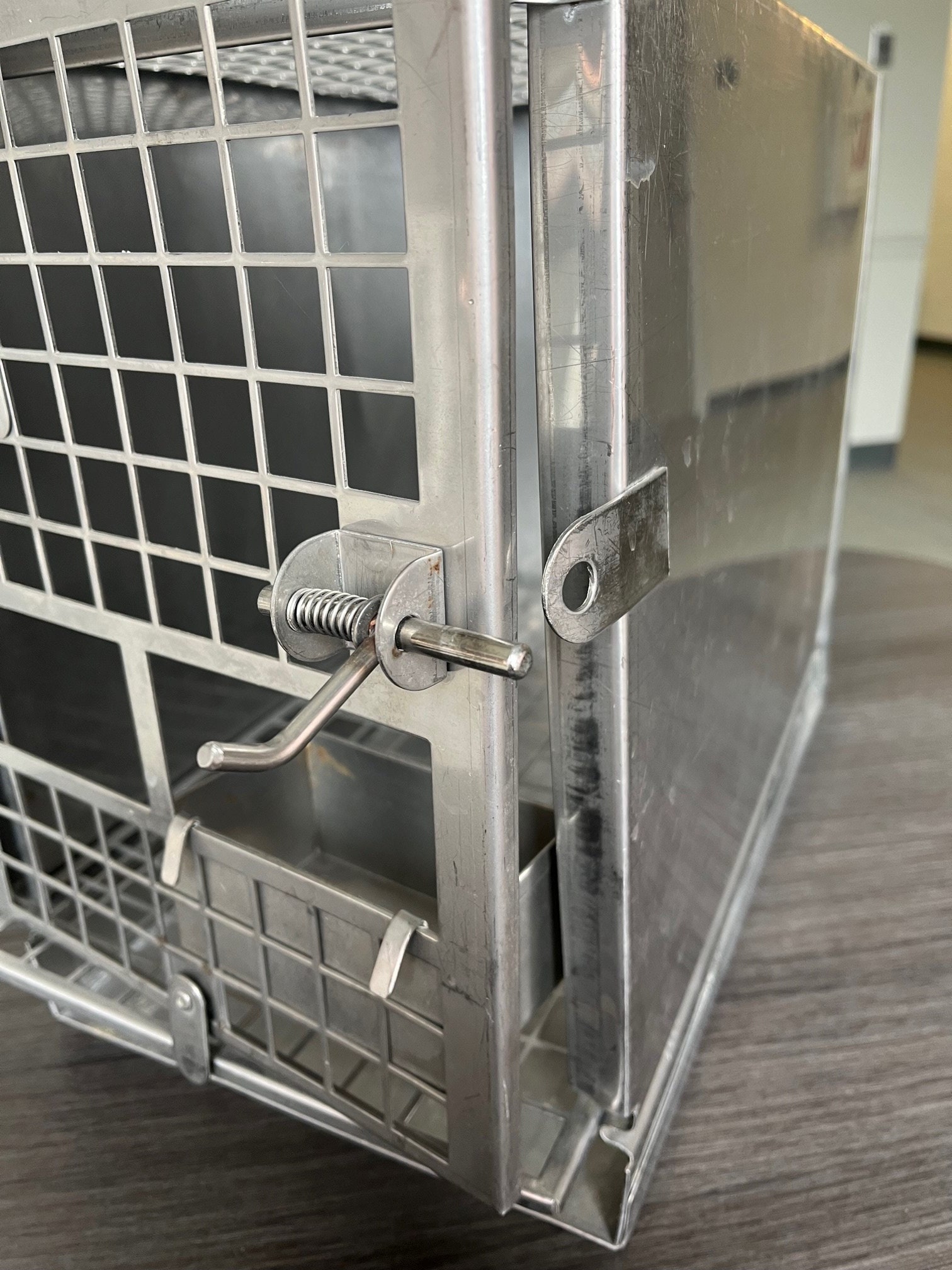 Small Animal Cage Stainless Steel 15.5 Inches Long 9.5 - Etsy