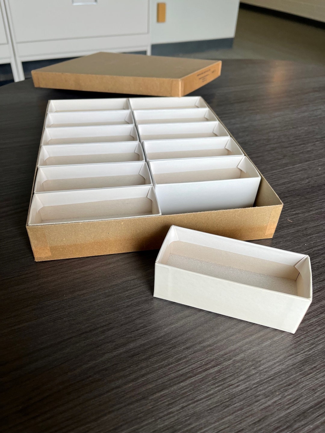 Small Insect Pinning Trays Case of 12 - Etsy