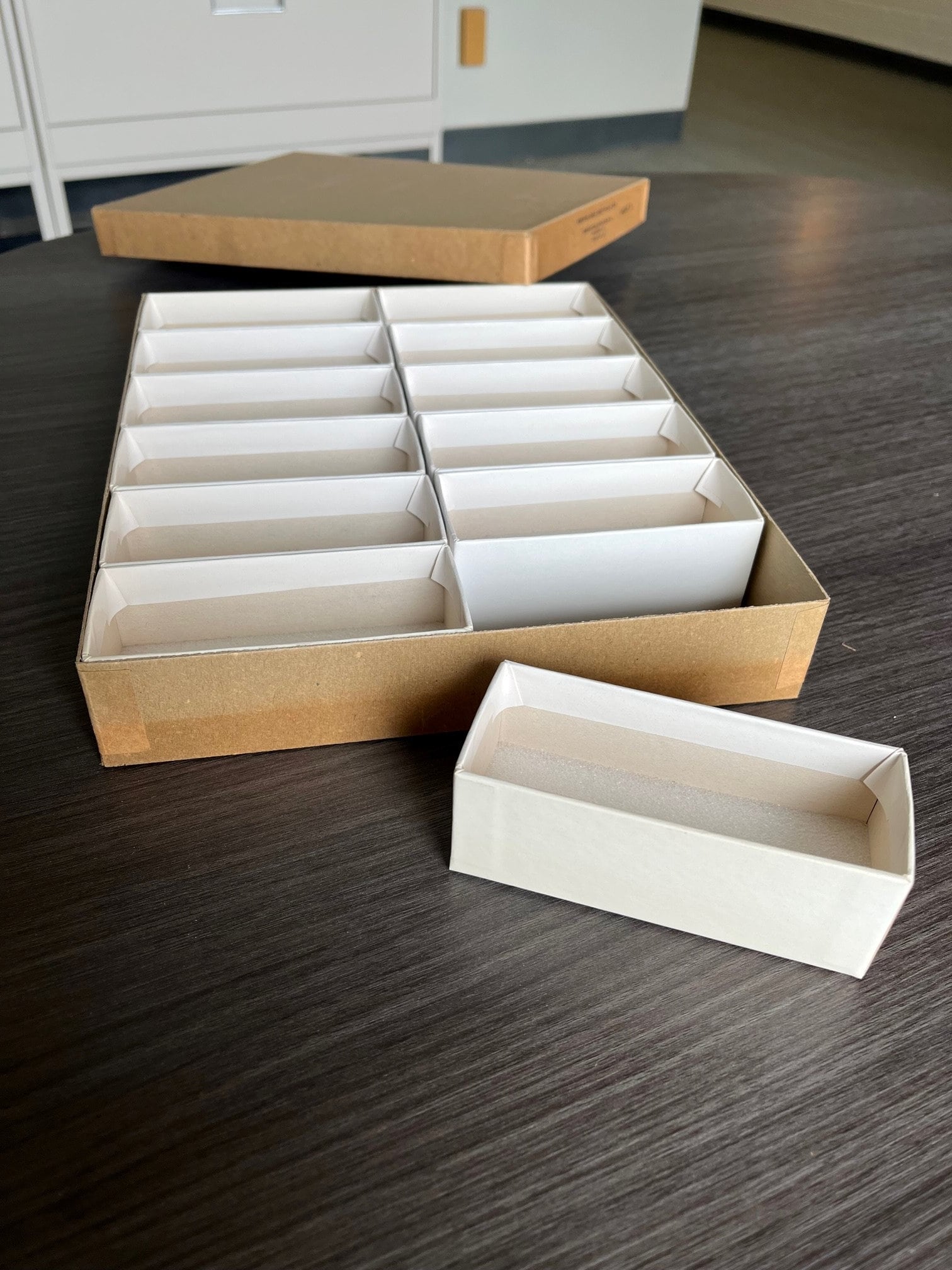 Small Insect Pinning Trays Case of 12 - Etsy