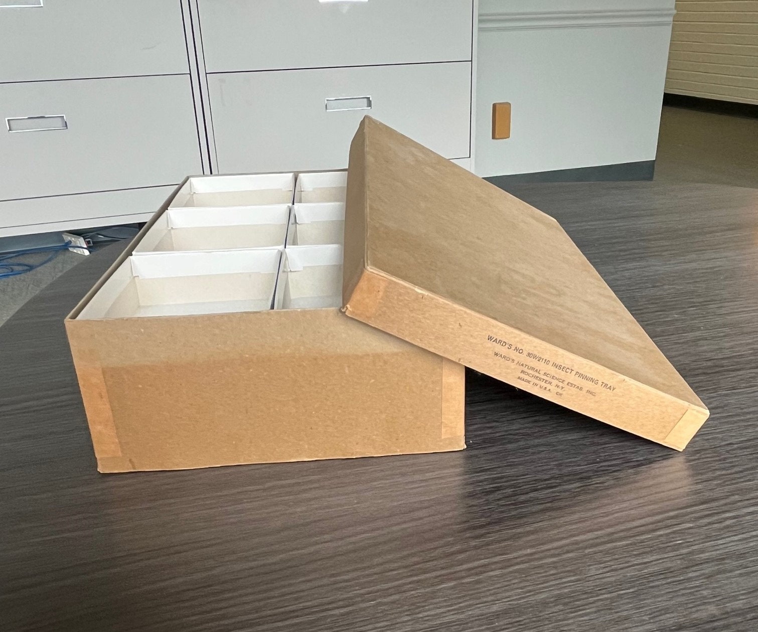 Medium Size Insect Pinning Trays Case of 12 - Etsy