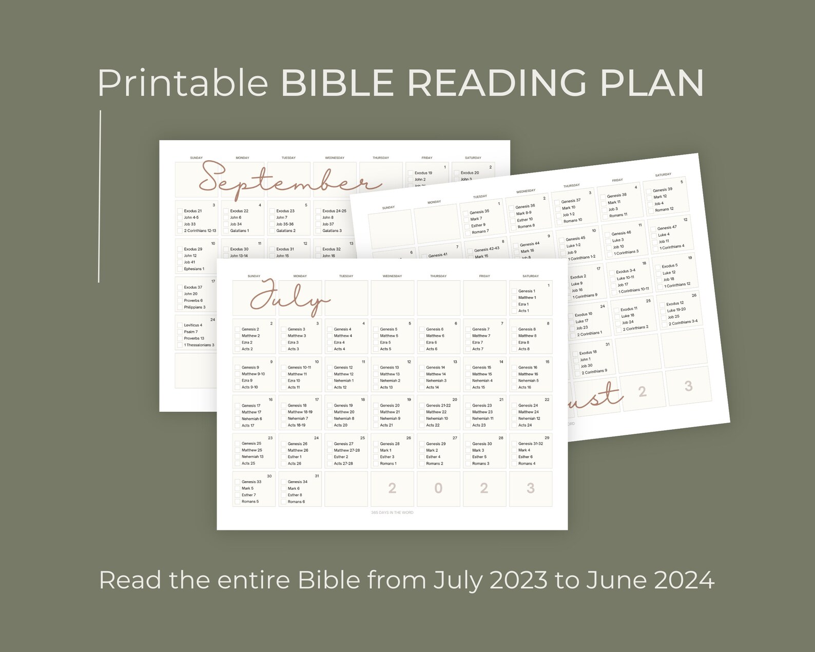 Printable Daily Bible Reading Plan Bible in a Year Bible - Etsy
