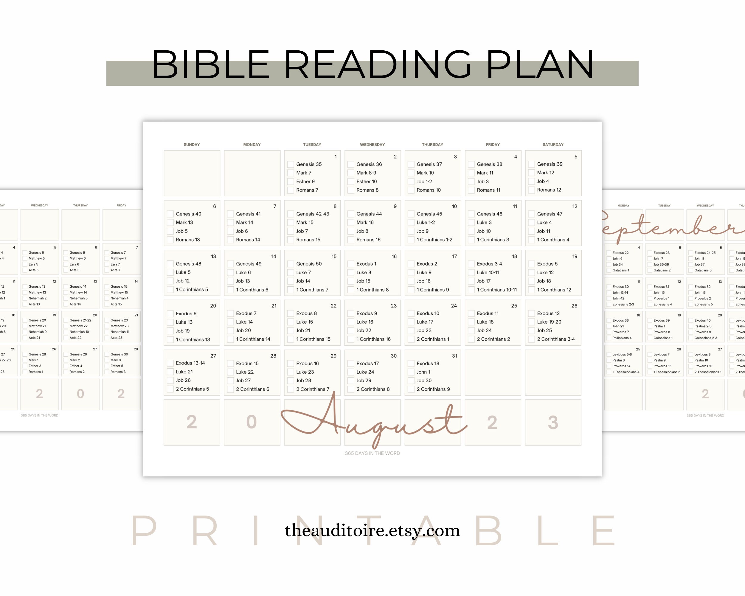 Printable Daily Bible Reading Plan Bible in a Year Bible Reading ...