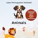 Learn Portuguese for Kids – Printable Bundle | 3 Fun Language ...