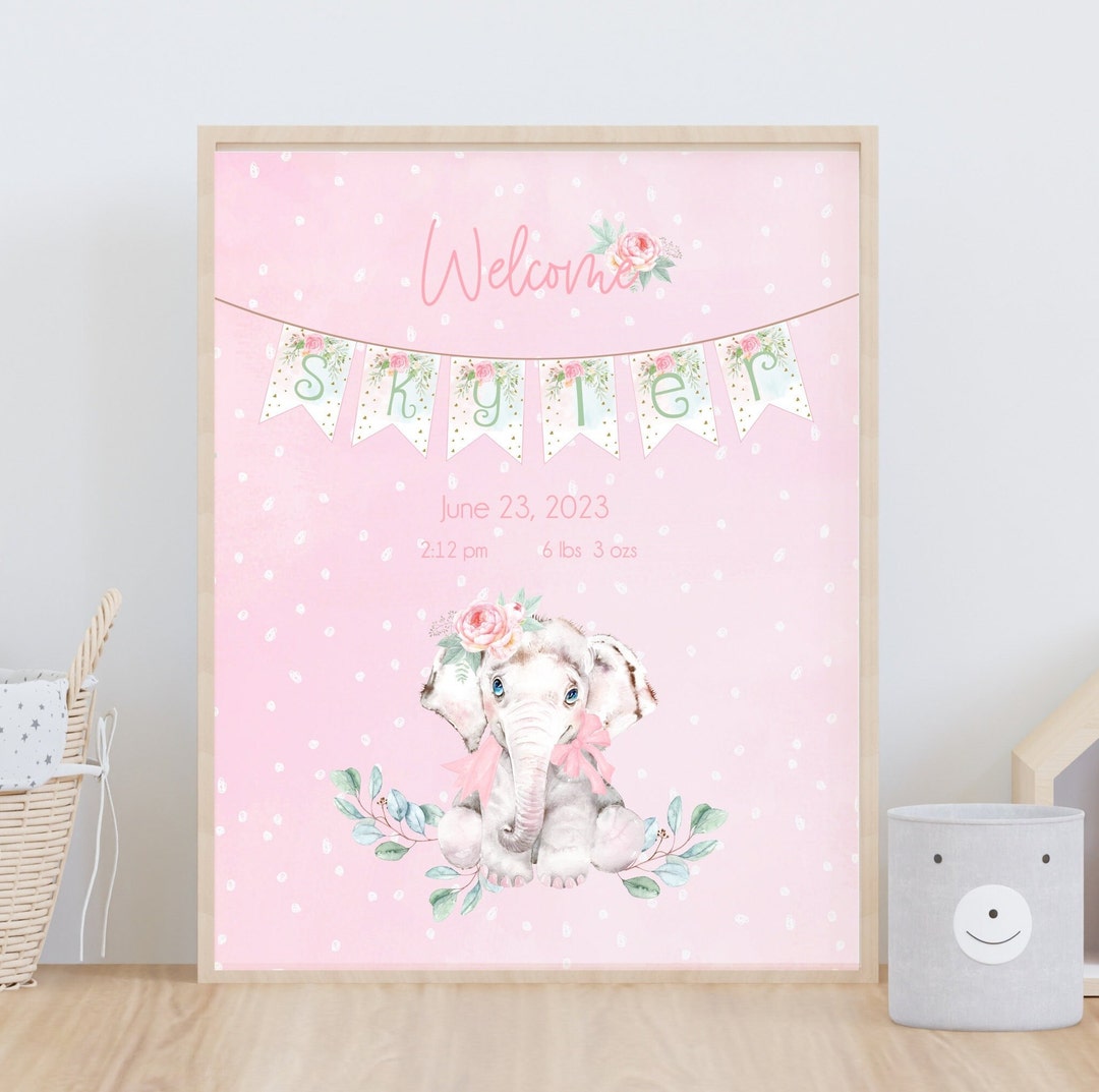 Hospital Baby Sign, Birth Certificate, Welcome Baby Shower Gift, Soft ...