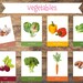 Vegetables Flash Cards • Real Photos • PDF Printable • for Preschoolers ...