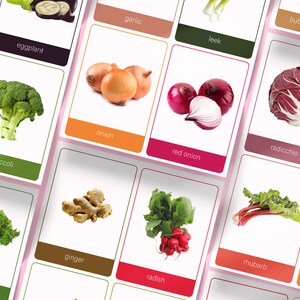 Vegetables Flash Cards • Real Photos • PDF Printable • for Preschoolers ...