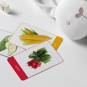 Vegetables Flash Cards • Real Photos • PDF Printable • for Preschoolers ...