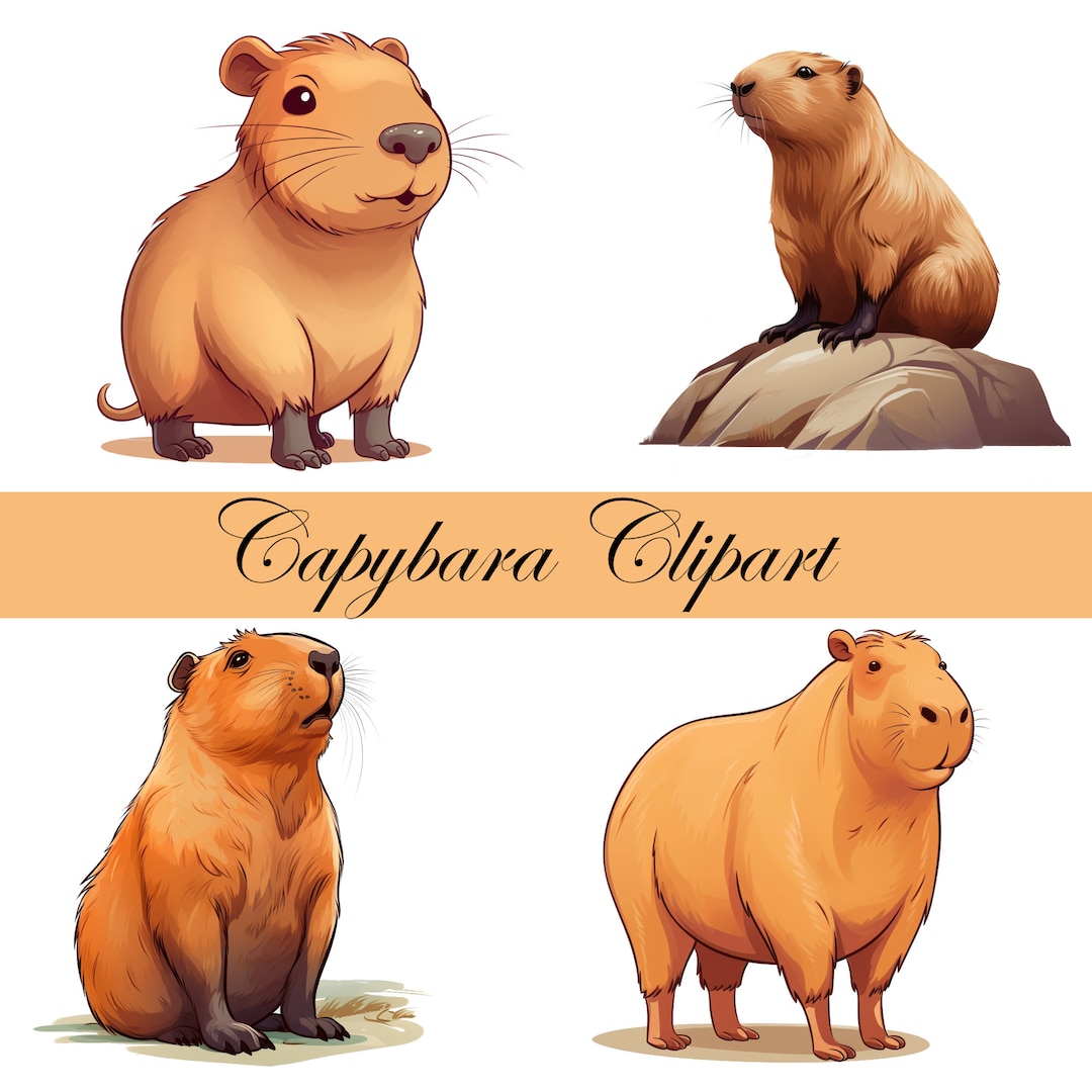 Capybara Clipart, Digitaler Download, Capybara Clip Art, Digital ...