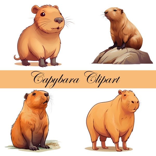 Capybara Digital Paper - Etsy