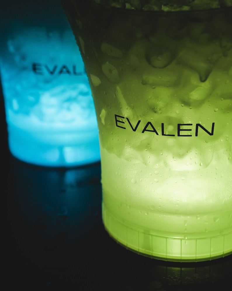 Evalen Tulips Ice Bucket - Etsy