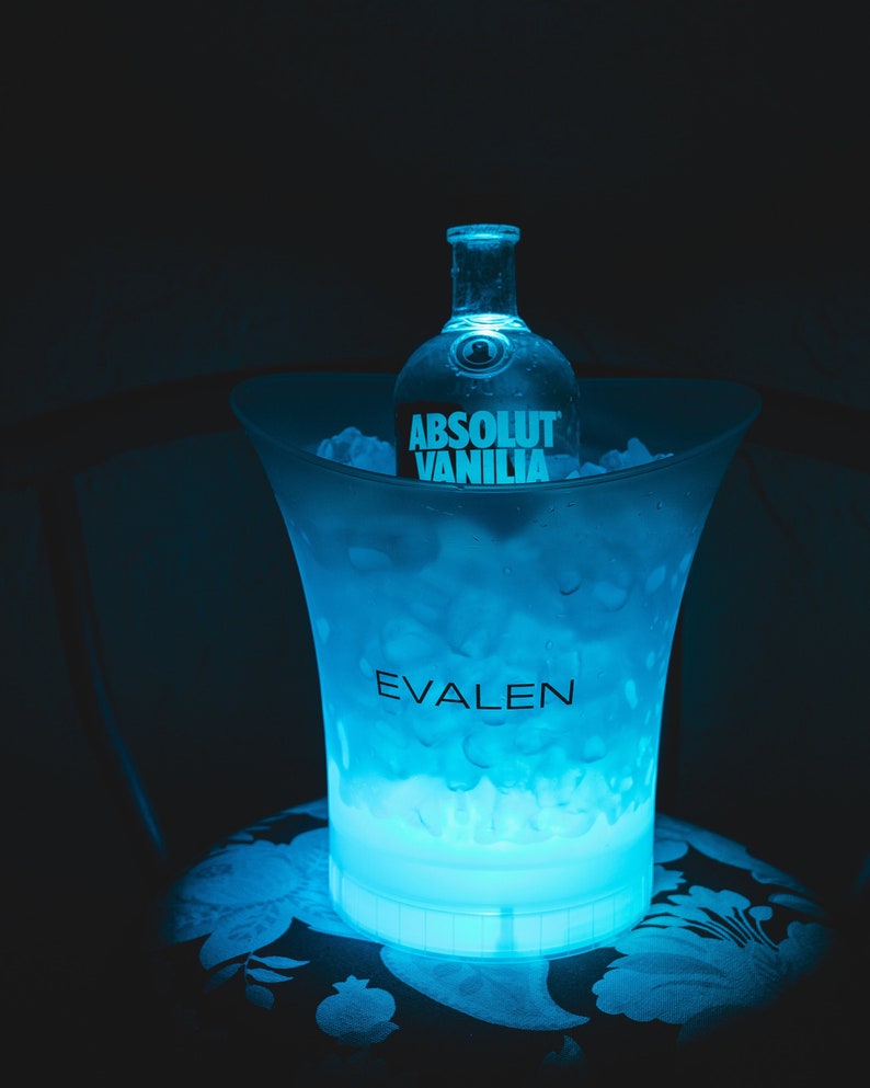 Evalen Tulips Ice Bucket - Etsy