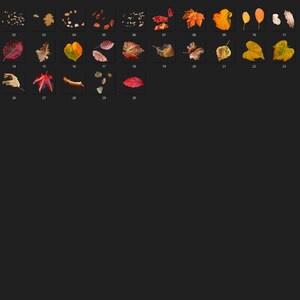 Autumn Overlays, Autumn Moment Illustration Overlay for Adobe Photoshop ...