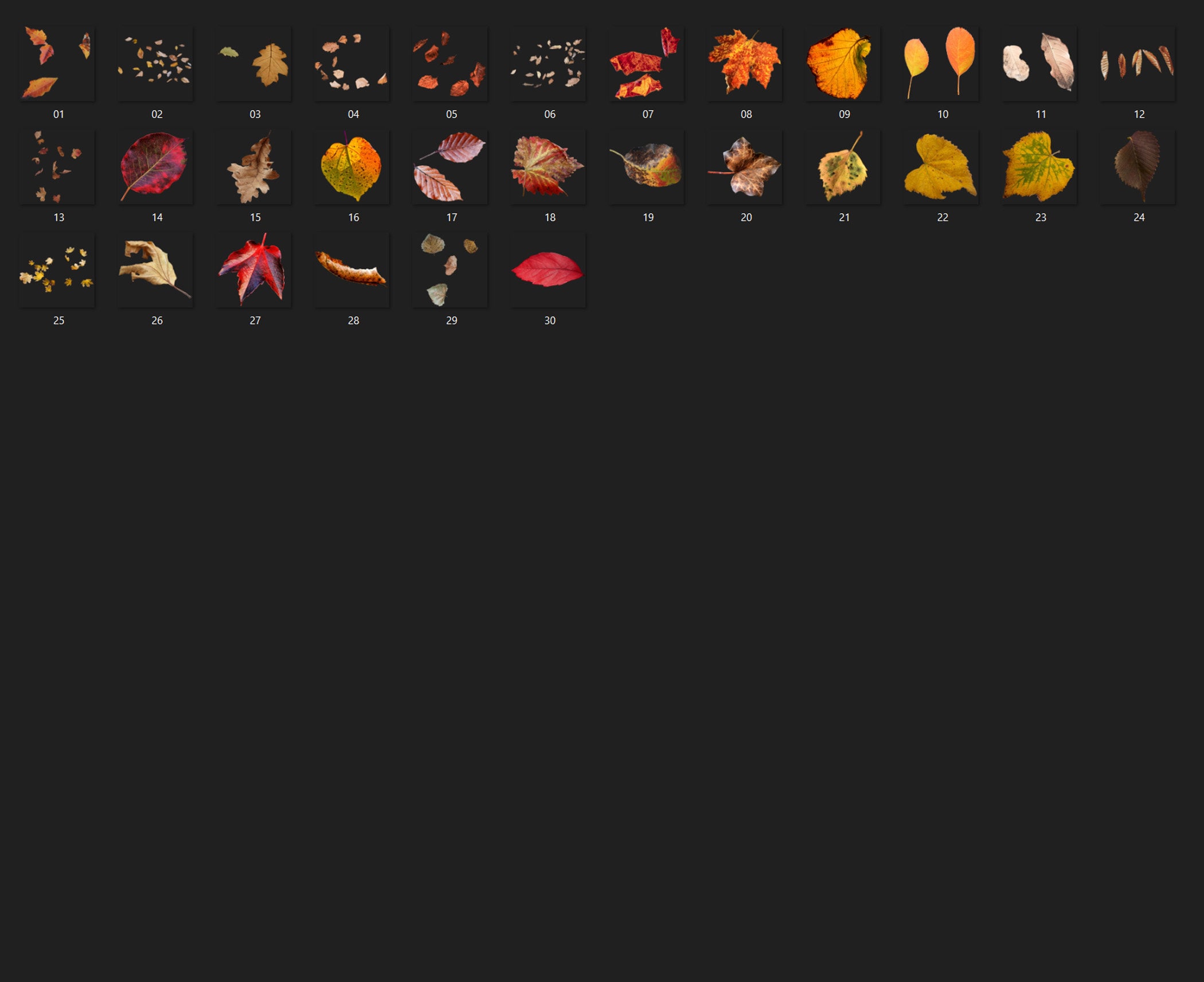 Autumn Overlays, Autumn Moment Illustration Overlay for Adobe Photoshop ...