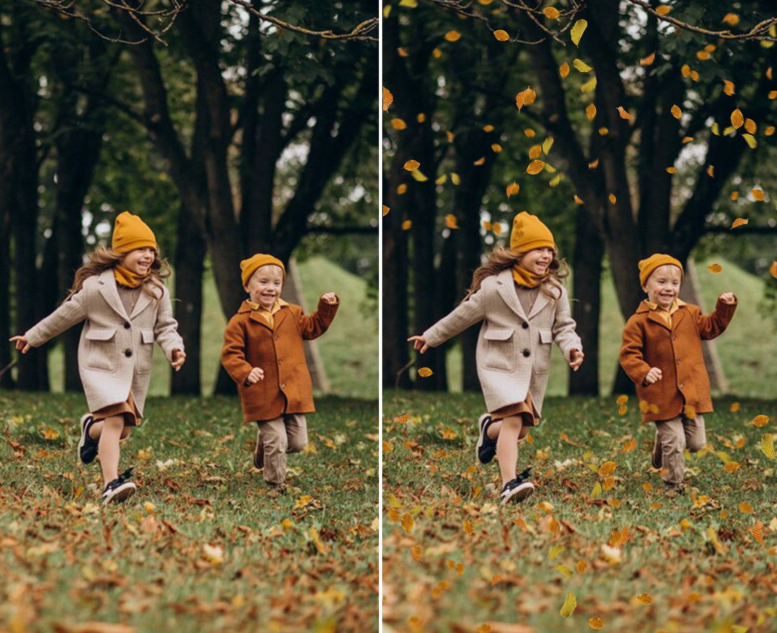 Autumn Overlays, Autumn Moment Illustration Overlay for Adobe Photoshop ...