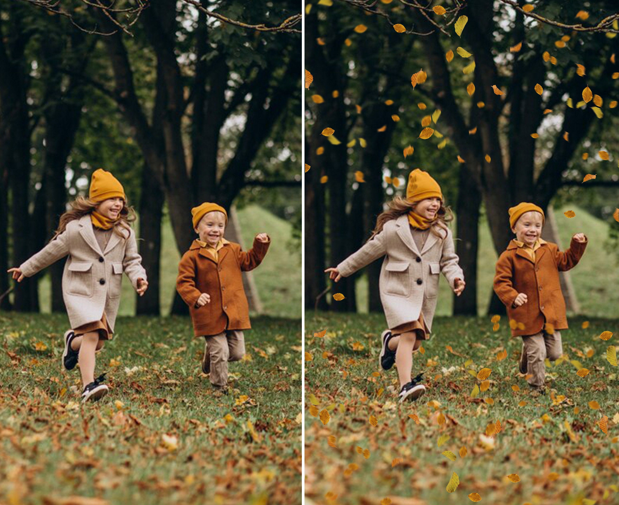 Autumn Overlays, Autumn Moment Illustration Overlay for Adobe Photoshop ...