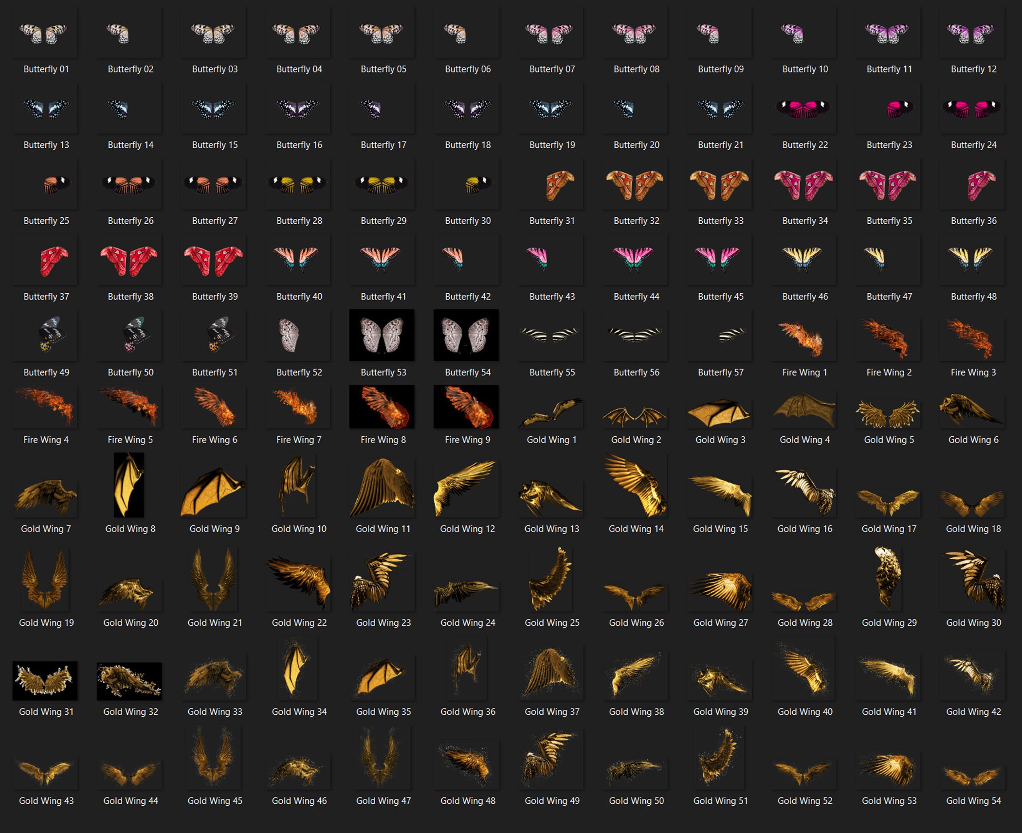 Realistic Wing Overlays, Realistic Wings Illustration Overlay for Adobe ...