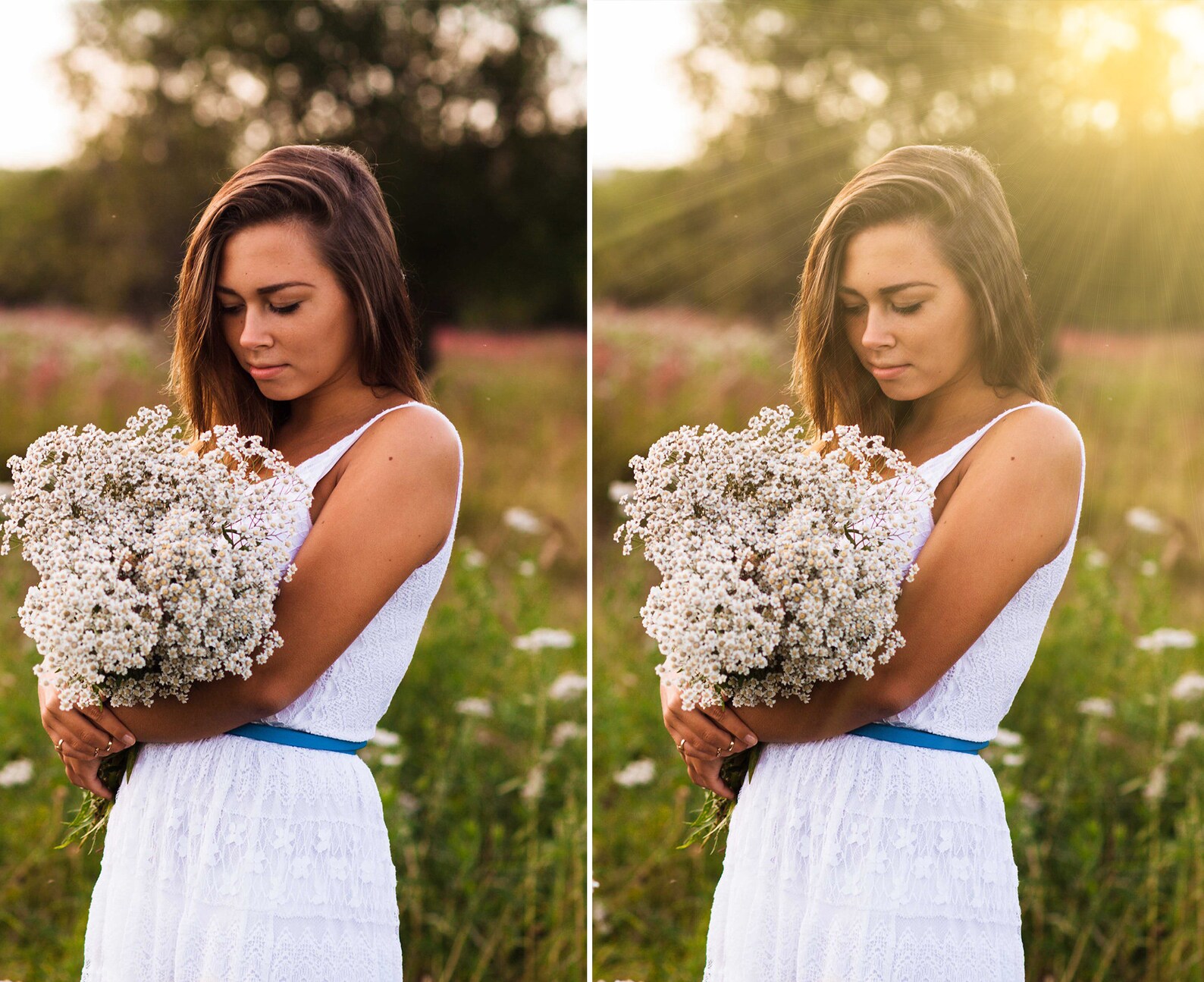 Sunlight Overlays, Lens Flare Digital Textures for Photo Editing - Etsy