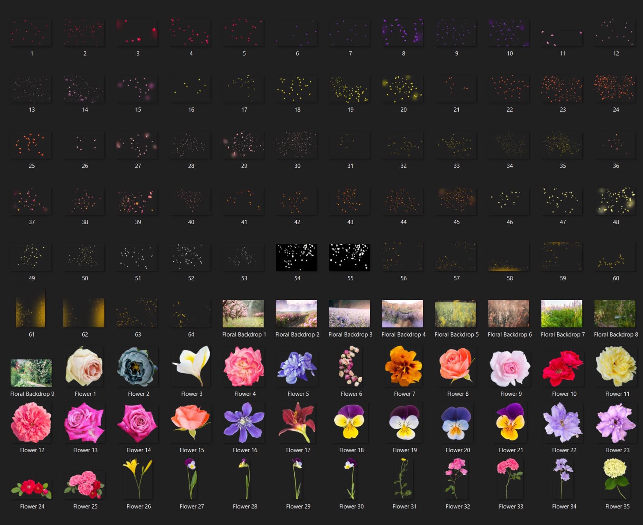Grass and Flowers Overlays, Realistic Grass, Flowers Transparent PNG ...