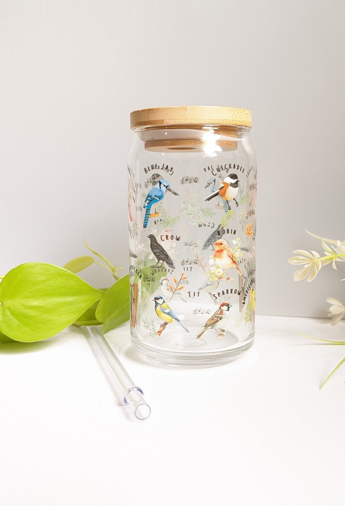 Bird Iced Coffee Cup Glass Cup With Straw Gift for Her - Cardinal Bird ...