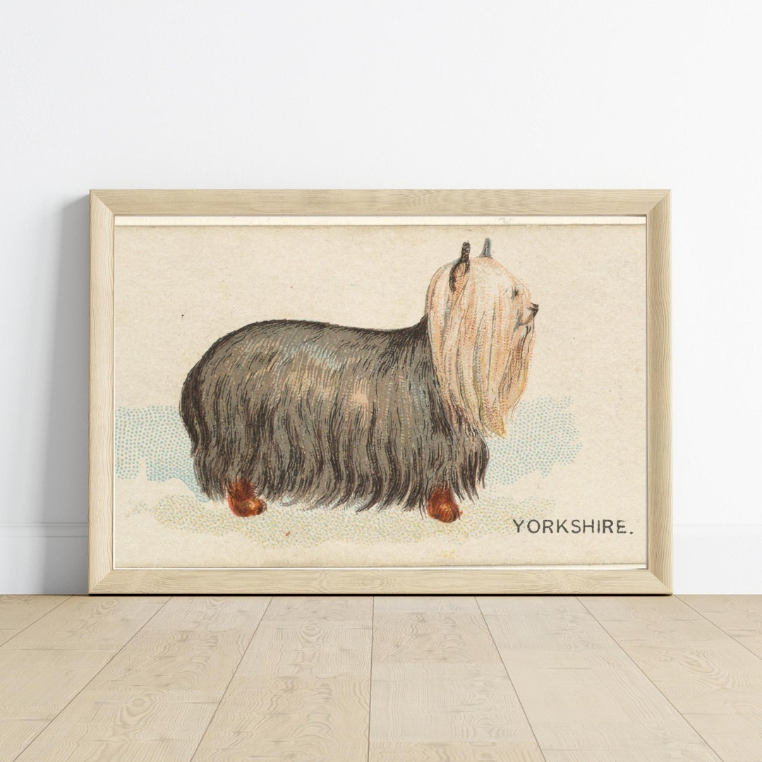 Yorkshire Digital Download Printable, Yorkie Art Print, Yorkshire ...