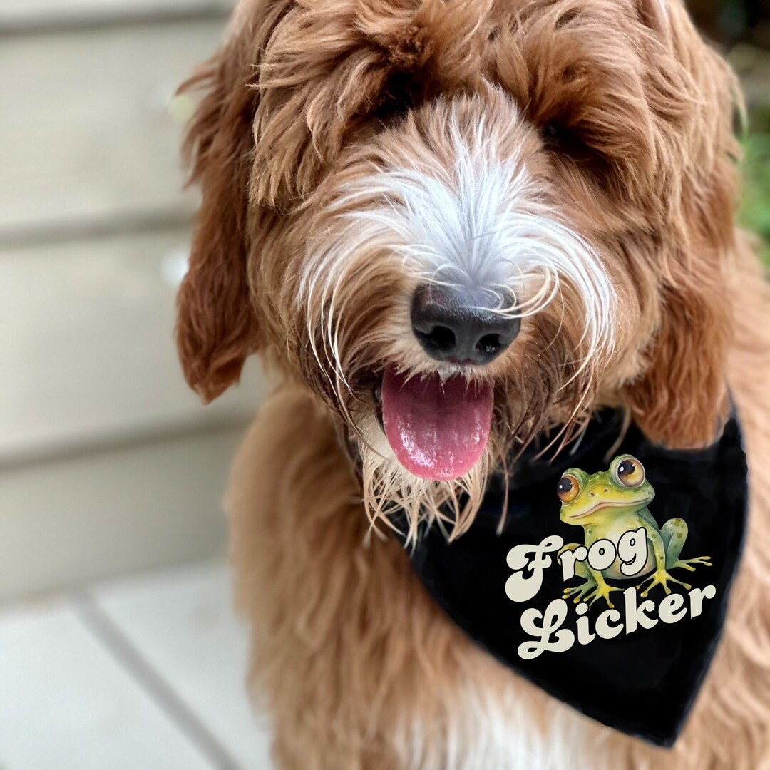 Frog Bandana, Dog Bandana, Funny Dog Bandana, Frog Lover Gifts, Dog Mom ...