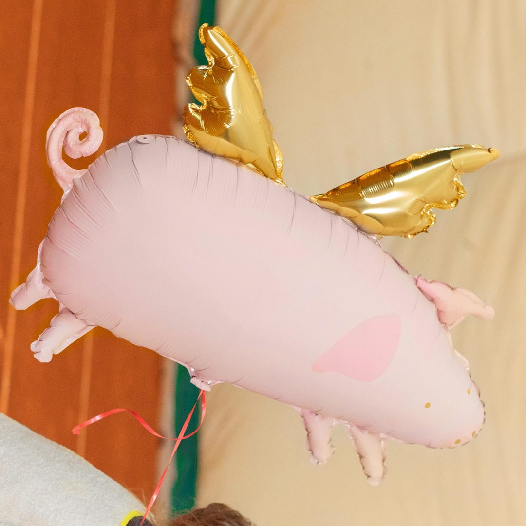 Whimsical Flying Pig Foil Balloon: Birthday Party Decor - Etsy