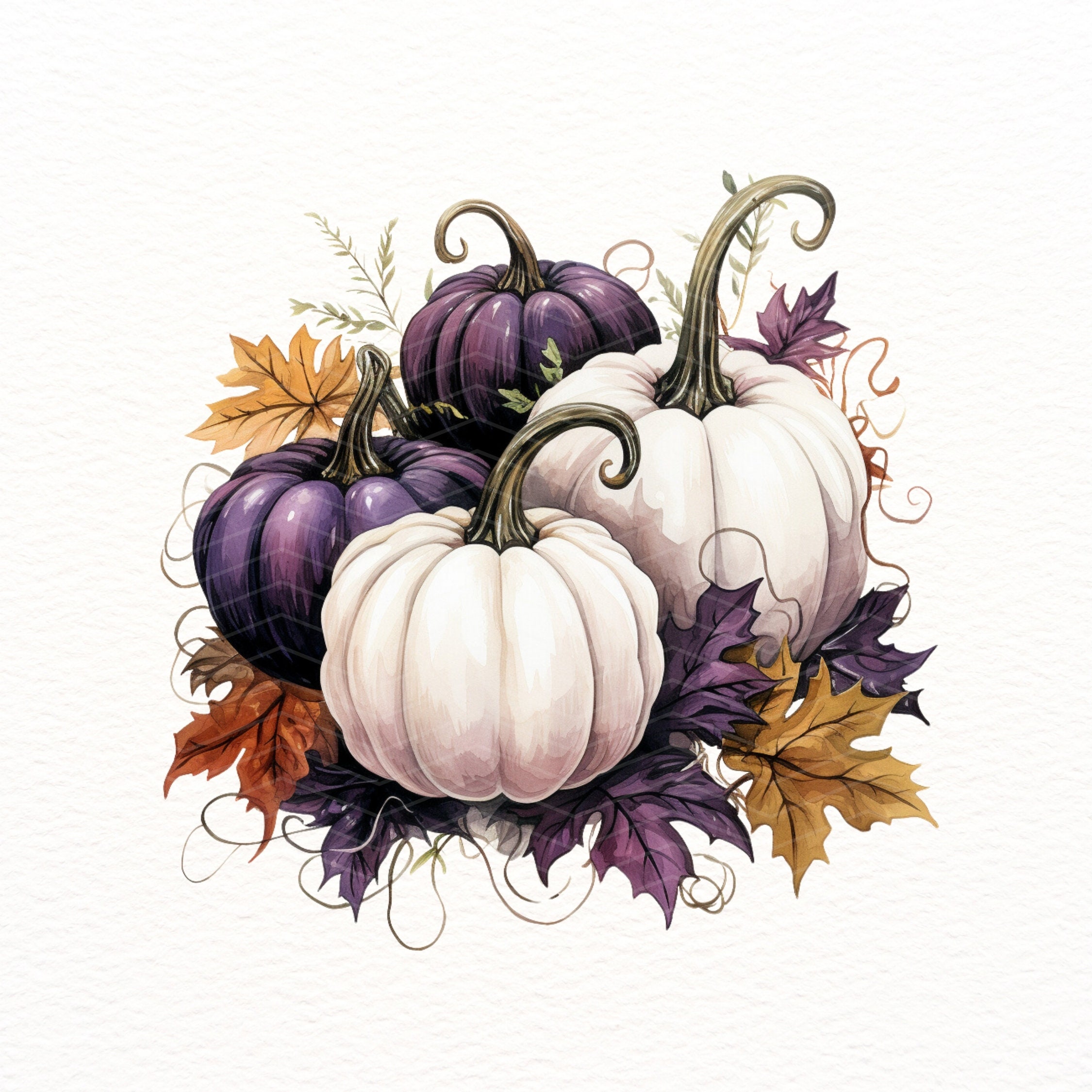 Purple & White Pumpkins Clipart Set, Halloween Sublimation PNG, High ...
