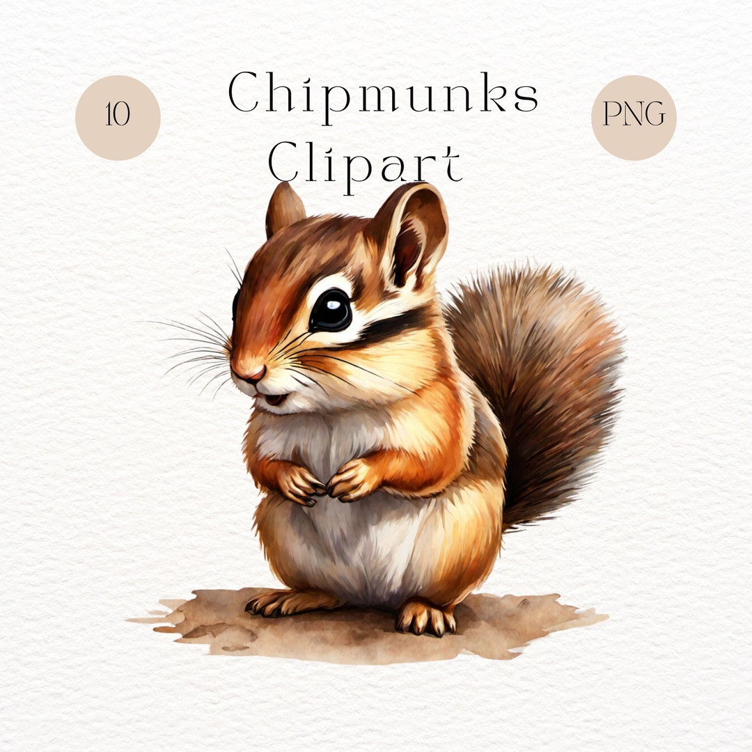 Chipmunk Watercolor Clipart PNG Cute Wild Animal Craft - Etsy