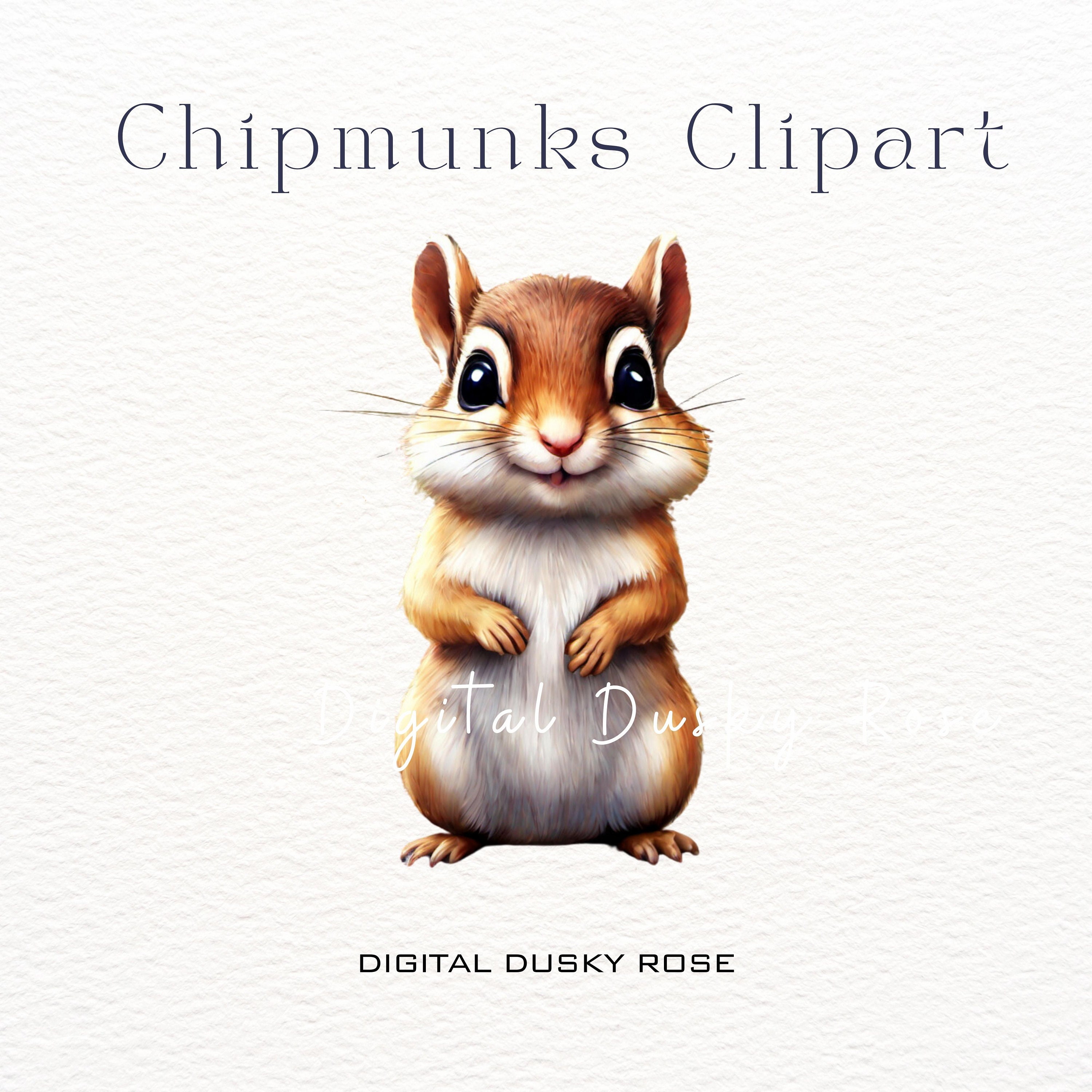 Chipmunk Watercolor Clipart PNG Cute Wild Animal Craft - Etsy