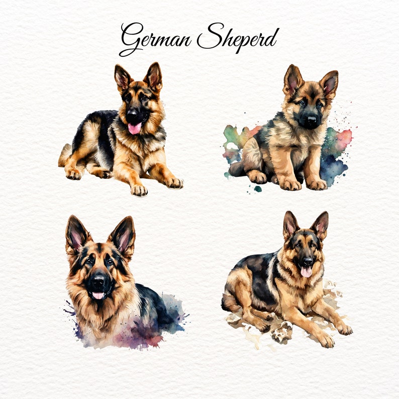 German Shepherd Watercolor Clipart PNG Cute Puppy Dog - Etsy