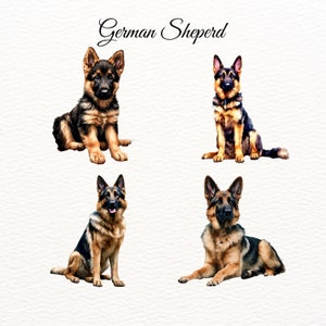German Shepherd Watercolor Clipart, PNG, Cute Puppy Dog, German ...