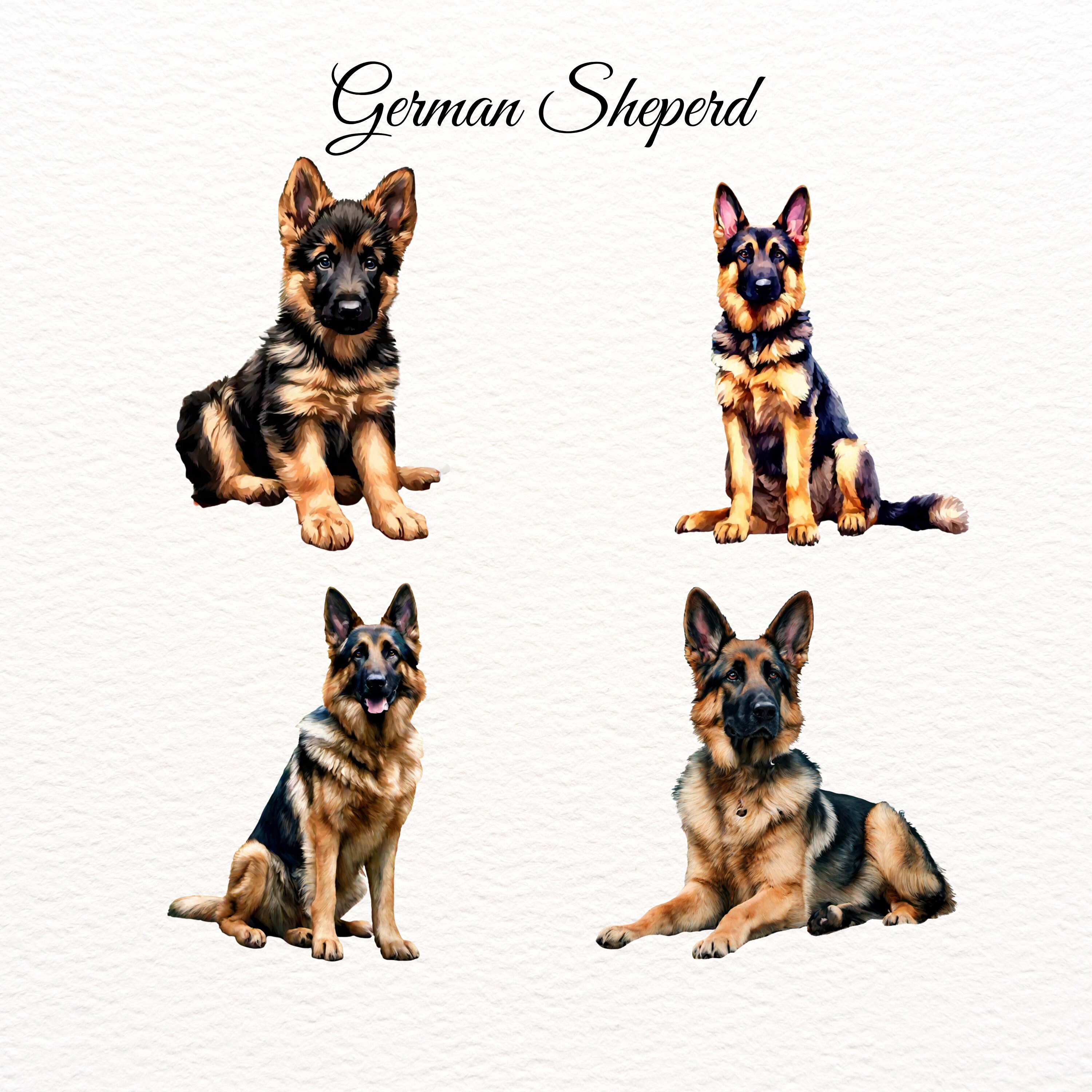 German Shepherd Watercolor Clipart PNG Cute Puppy Dog - Etsy