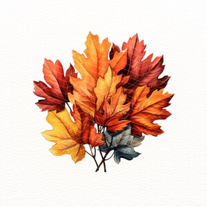 Autumn Maple Leaf Clipart Fall Foliage Seasonal Decor Graphics Fall ...