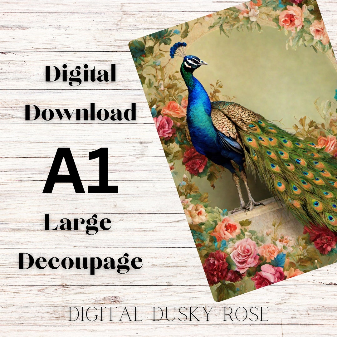 Gorgeous Vintage Peacock Digital Paper: A1 Large Printable Paper With ...
