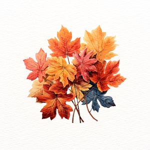 Autumn Maple Leaf Clipart Fall Foliage Seasonal Decor Graphics Fall ...