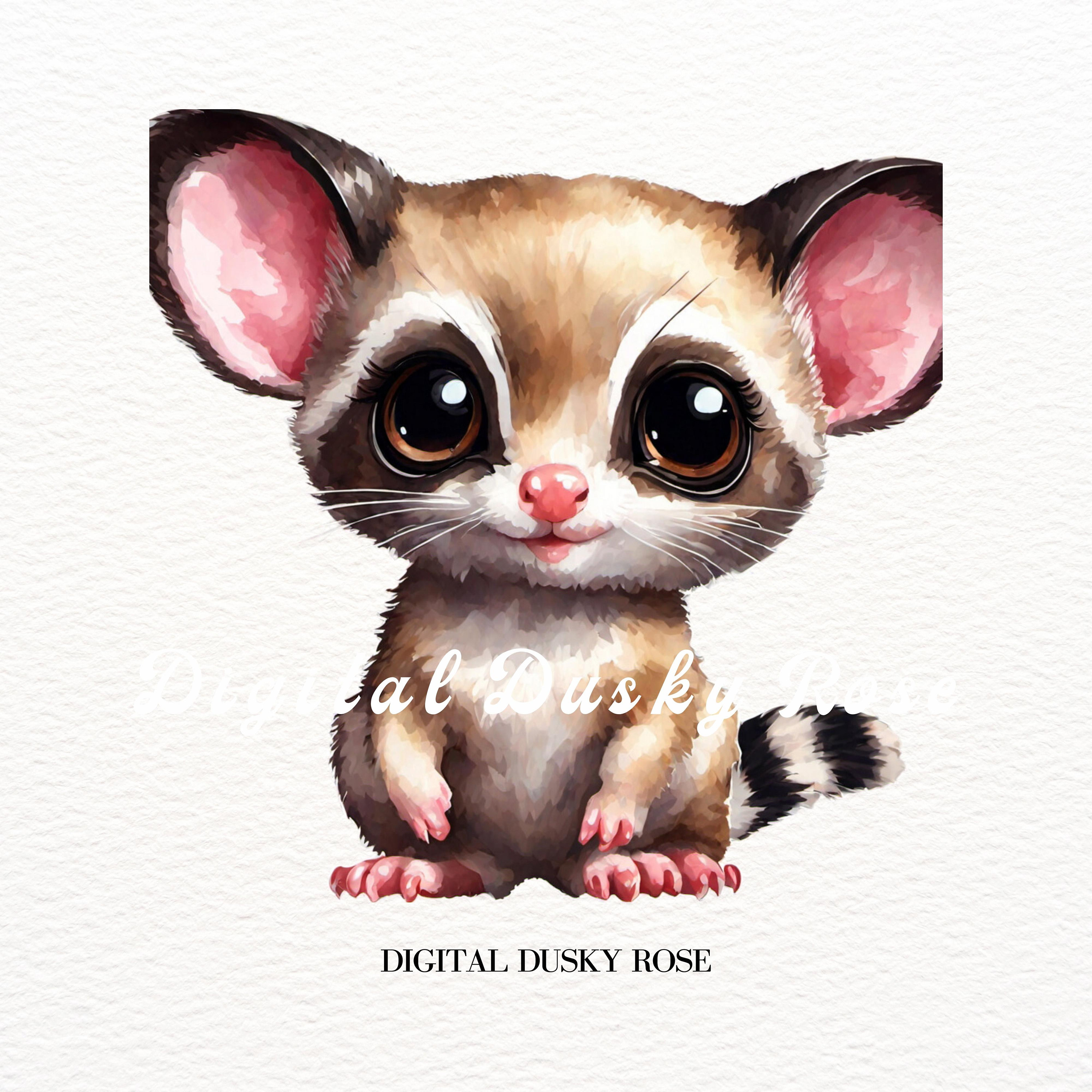 Sugar Glider Clipart Cute Kawaii Chibi, 10 Clipart PNG, Adorable Wild ...