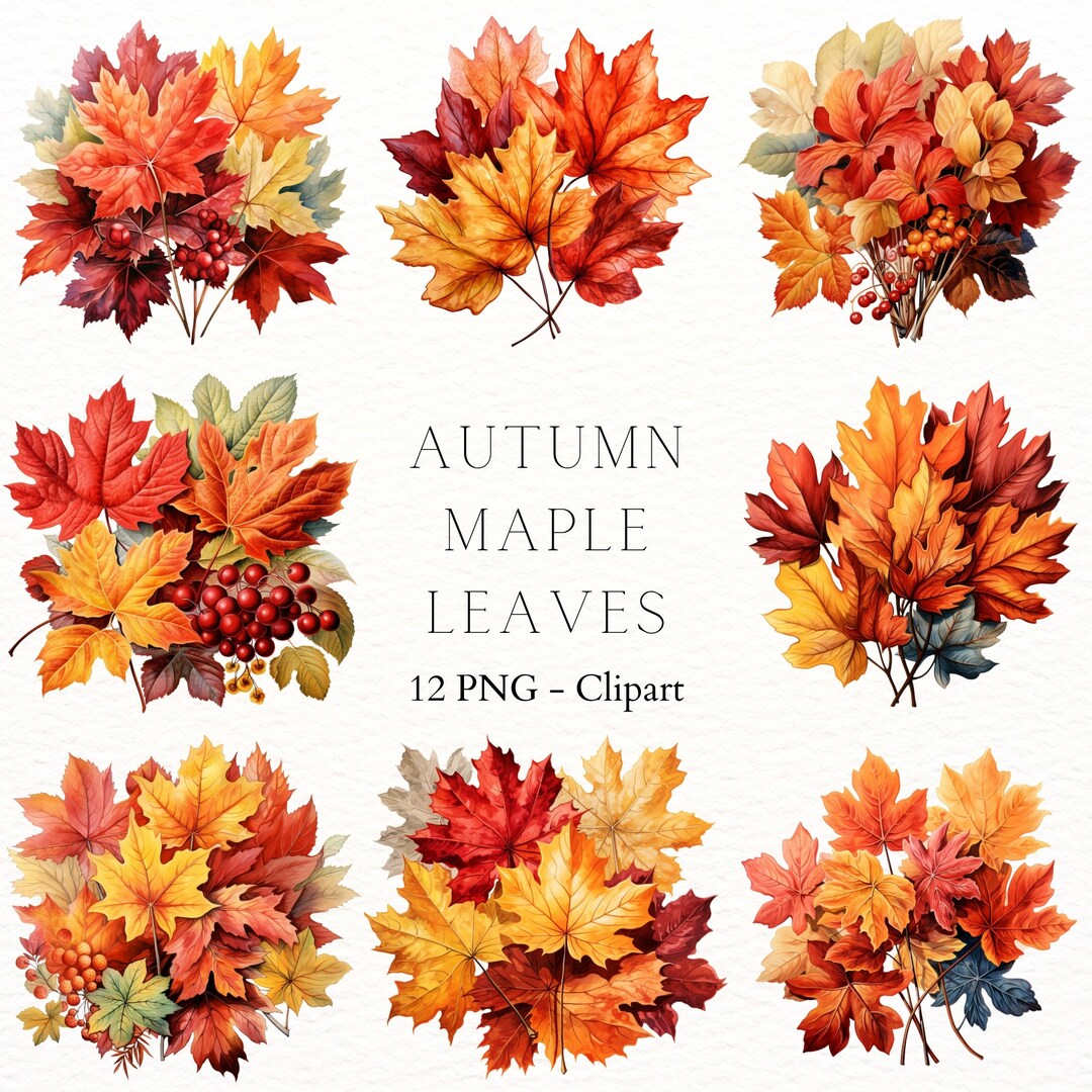Autumn Maple Leaf Clipart Fall Foliage Seasonal Decor Graphics Fall ...