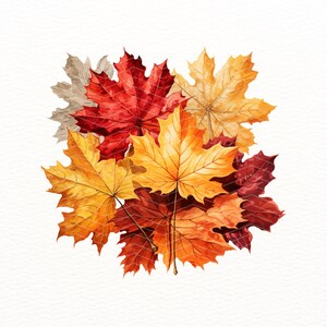 Autumn Maple Leaf Clipart Fall Foliage Seasonal Decor Graphics Fall ...