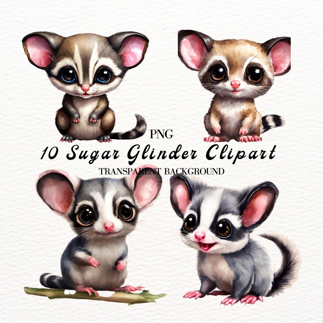 Sugar Glider Clipart Cute Kawaii Chibi, 10 Clipart PNG, Adorable Wild ...