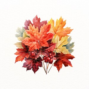 Autumn Maple Leaf Clipart Fall Foliage Seasonal Decor Graphics Fall ...
