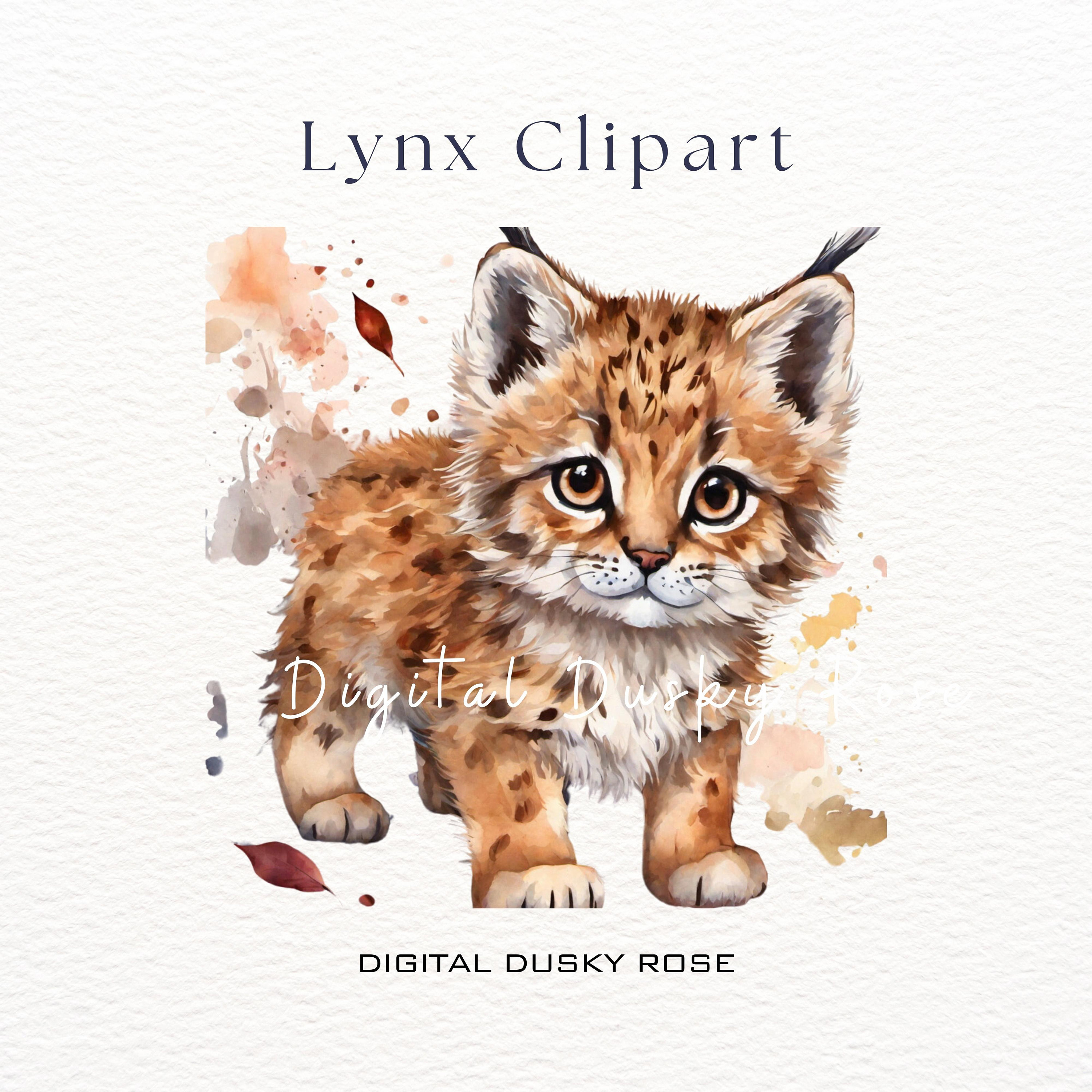 Lynx Watercolor Clipart PNG Lynx Craft Illustrations DIY Art - Etsy