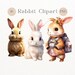 Rabbit Watercolor Clipart PNG Cute Forest Animal Kawaii - Etsy