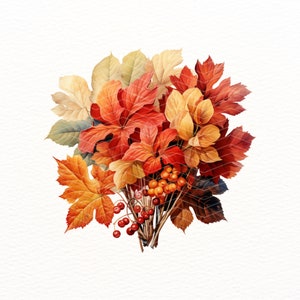 Autumn Maple Leaf Clipart Fall Foliage Seasonal Decor Graphics Fall ...