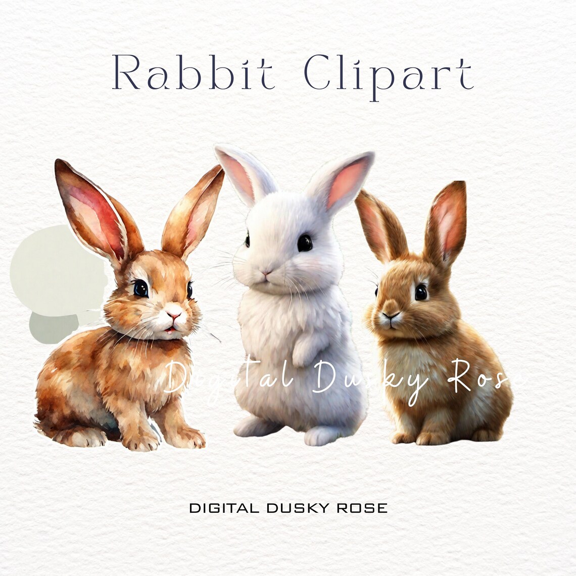 Rabbit Watercolor Clipart PNG Cute Forest Animal Kawaii - Etsy