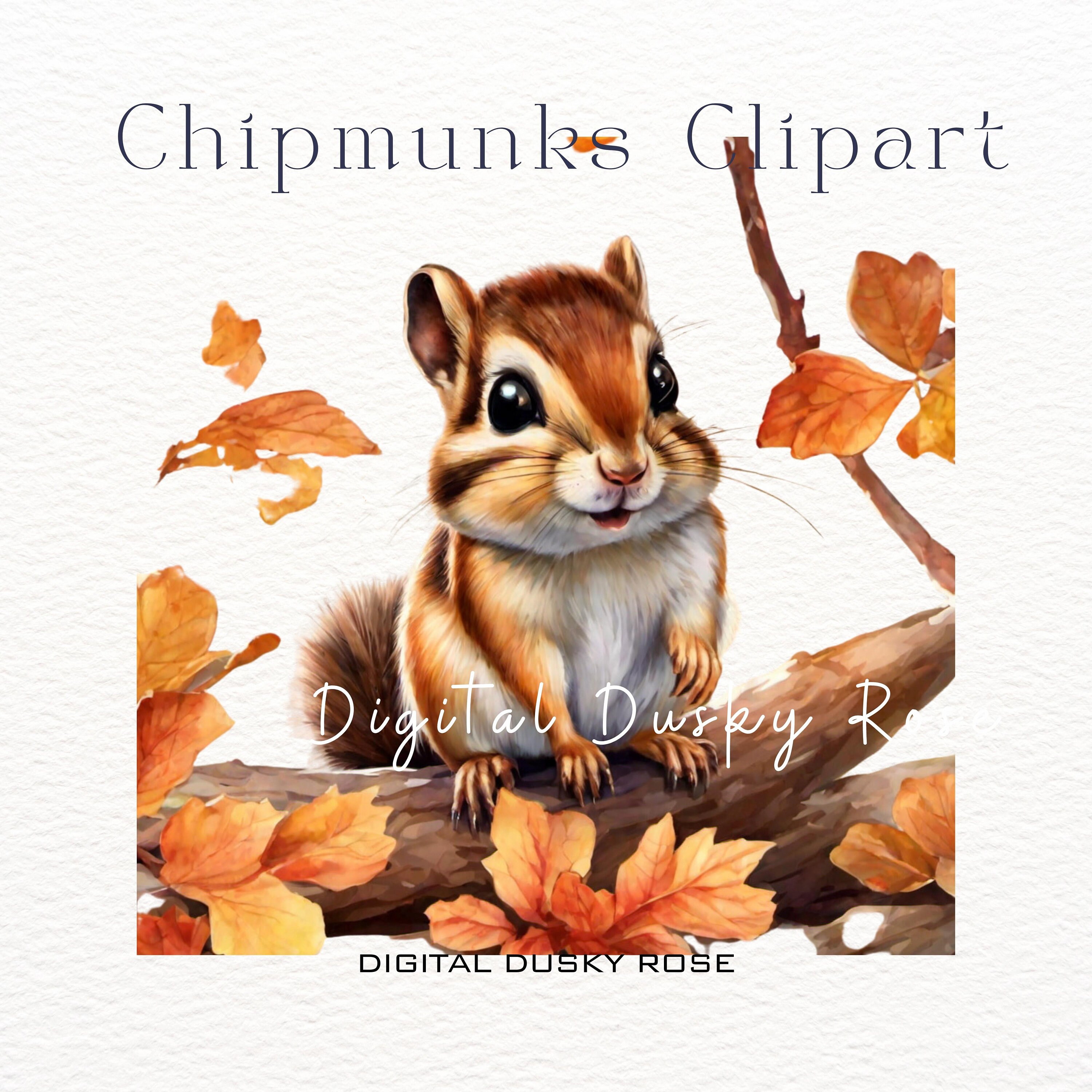 Chipmunk Watercolor Clipart PNG Cute Wild Animal Craft - Etsy