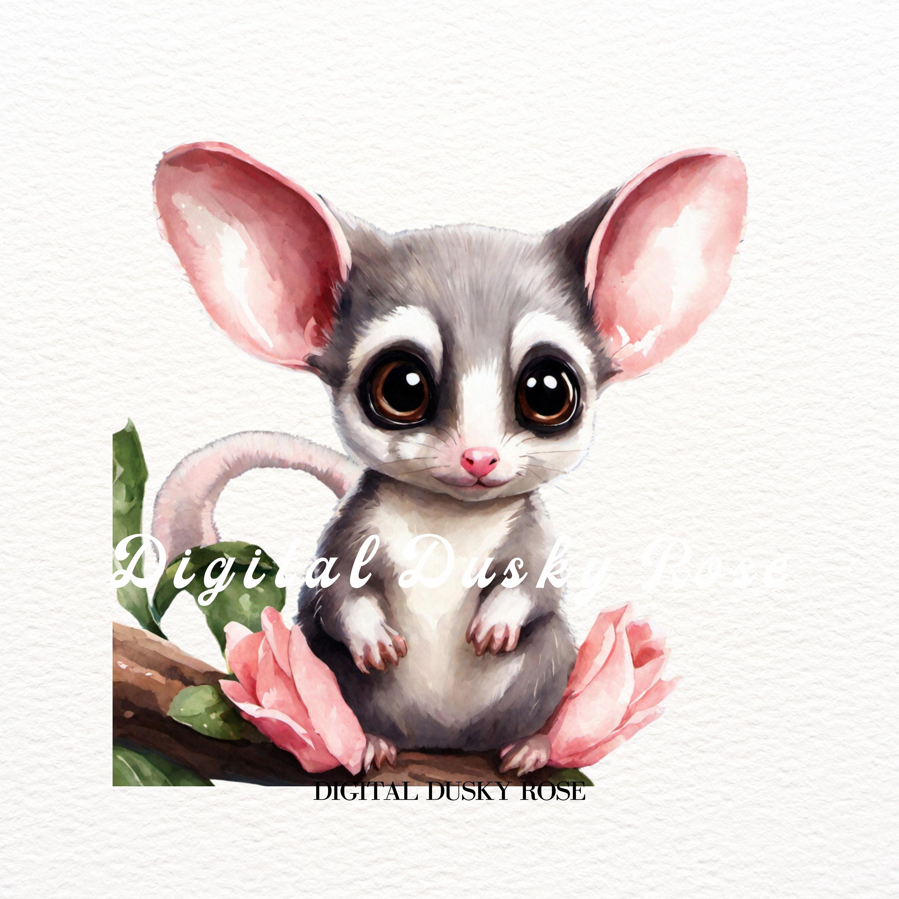 Sugar Glider Clipart Cute Kawaii Chibi, 10 Clipart PNG, Adorable Wild ...