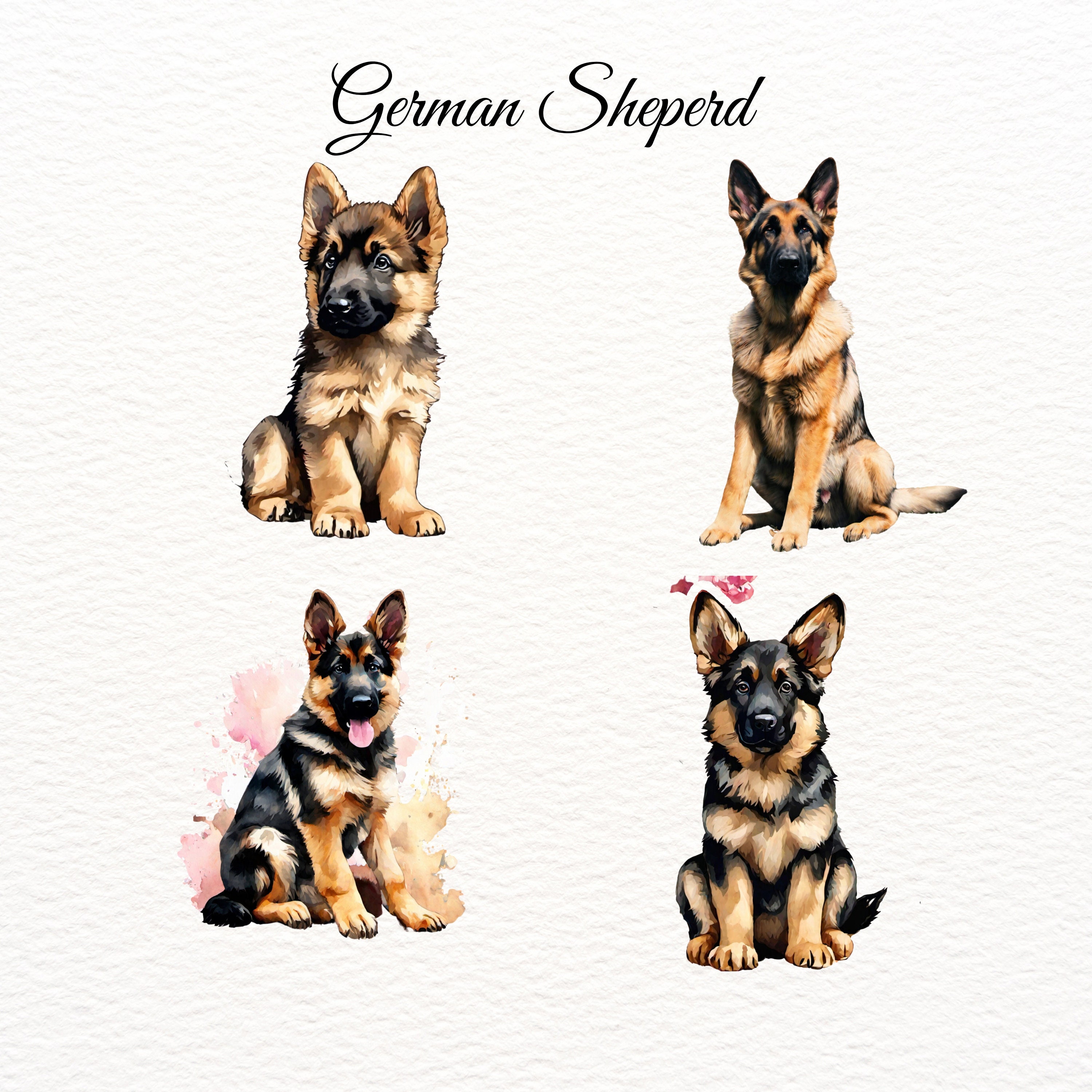 German Shepherd Watercolor Clipart PNG Cute Puppy Dog - Etsy